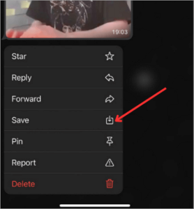 How to Download Videos from WhatsApp on Android & iPhone, & PC - TinyFrom
