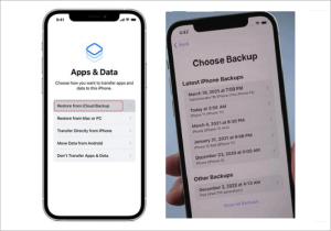 Where do Deleted Pictures Go on Desktops/Phones? - TinyFrom