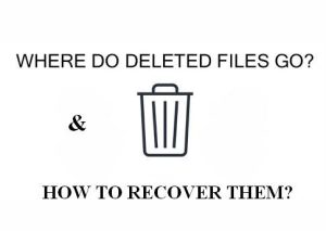 Where Do Deleted Files Go on Windows/Mac/Phones?
